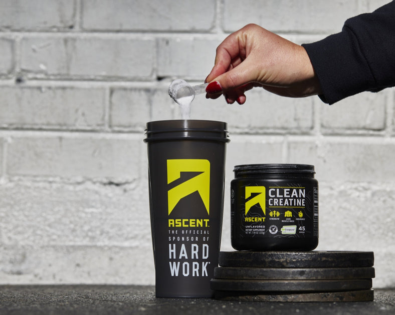 Ascent Clean Creatine | Ascent Protein
