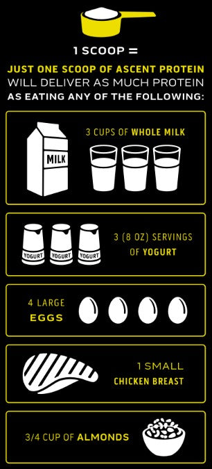 Protein Calculator | Ascent Protein